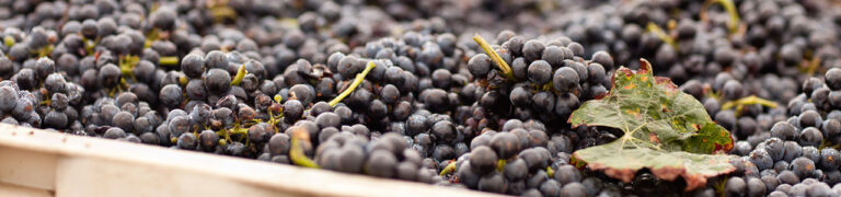 Technical Note - first steps in understanding the formation and ...