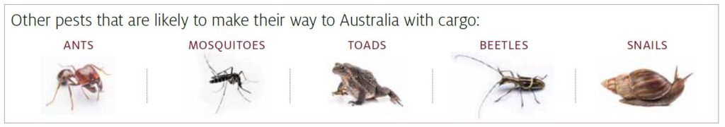 exotic pests - The Australian Wine Research Institute