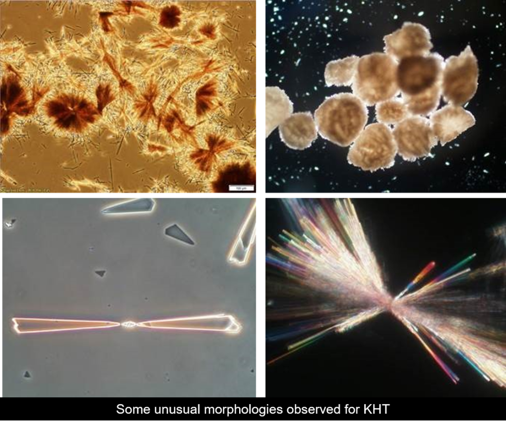 KHT unusual morphologies - The Australian Wine Research Institute
