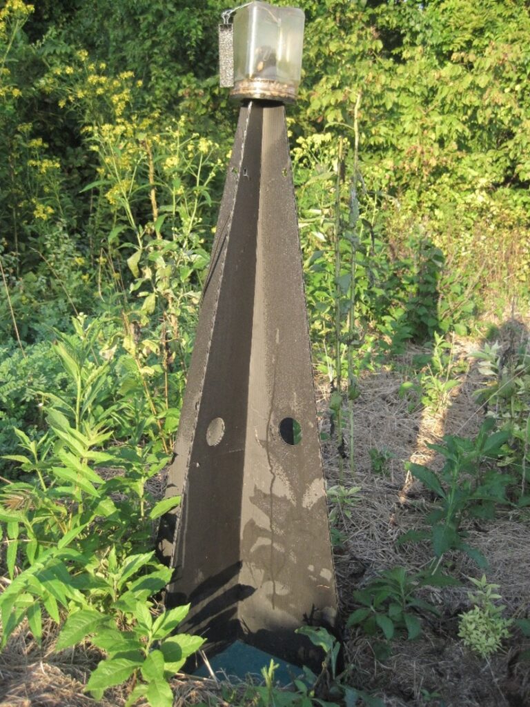 Monitoring for BMSB - The Australian Wine Research Institute